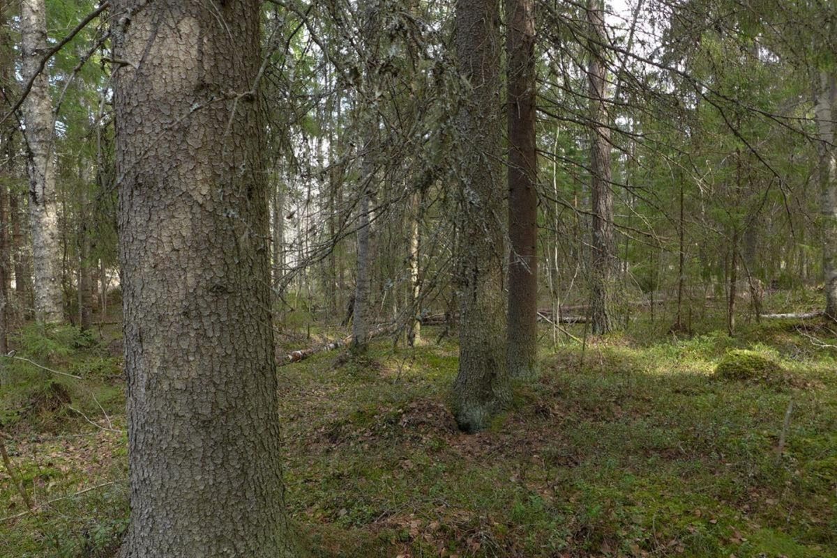 Entinen varuskunta-alue, Keuruu