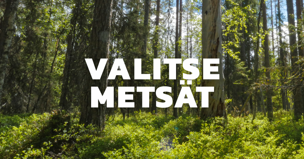 Suojellaan metsiä